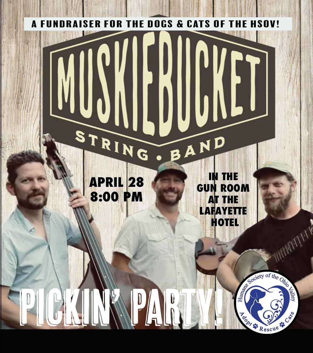 Pickin' Party for the HSOV—Muskie Bucket String Band - Washington ...